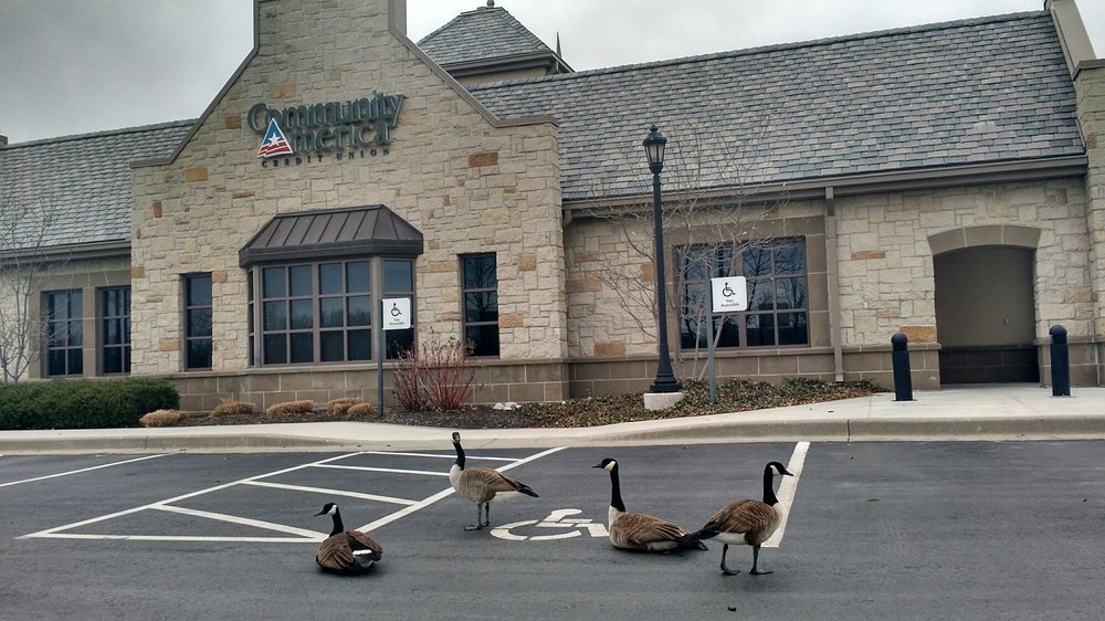 COMMUNITY AMERICA CREDIT UNION 10 Reviews 7613 NW Prairie View Rd Kansas City Missouri community-america-credit-union-10-reviews-7613-nw-prairie-view-rd-kansas-city-missouri