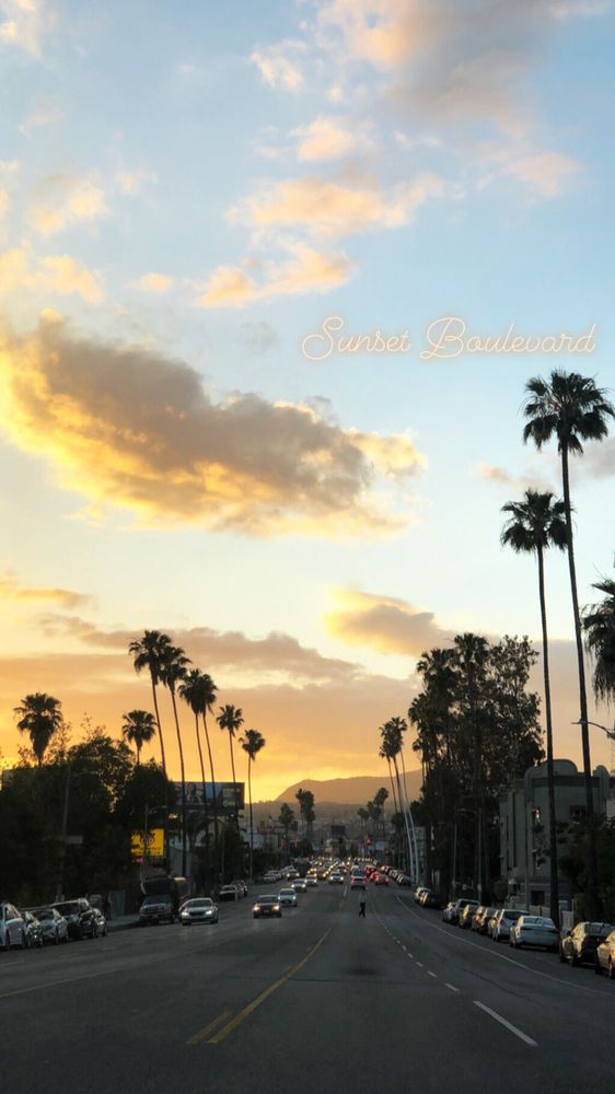 SUNSET BOULEVARD - 123 Photos & 34 Reviews - Sunset & La Cienega, Los ...