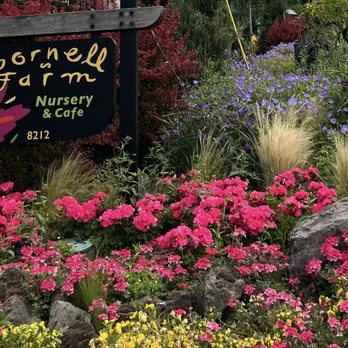 CORNELL FARM CAFE - Updated April 2025 - 519 Photos & 378 Reviews ...