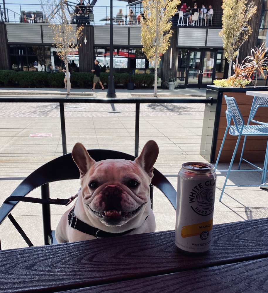 LITTLE ITALY OF CLEVELAND - Updated August 2024 - 10 Photos - 12100 ...