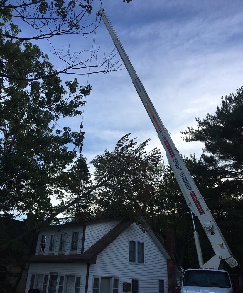 TALL TIMBERS TREE SERVICE - Updated August 2025 - Belmont, New ...