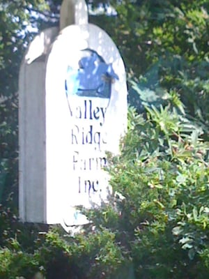 VALLEY RIDGE FARM - Updated July 2025 - 1901 Cale Rd, Masontown, West ...