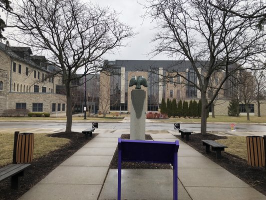 NIAGARA UNIVERSITY - Updated July 2025 - 114 Photos - 5795 Lewiston Rd ...