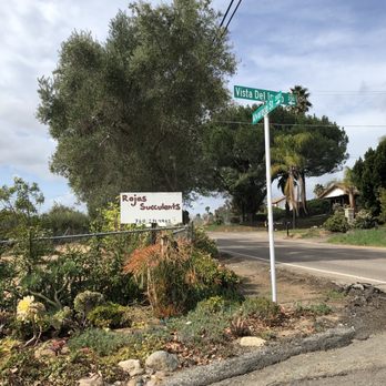 ROJAS SUCCULENTS AND CACTI - Updated October 2025 - 240 Photos & 100 ...