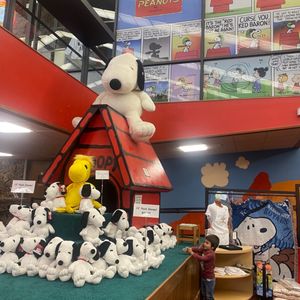 SNOOPY’S HOME ICE - REDWOOD EMPIRE ICE ARENA - 162 Photos & 118 Reviews ...