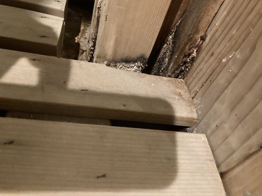 CLUB RENAISSANCE - Updated January 2026 - 31 Photos - 2121 S Pebble ...