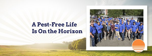 HORIZON PEST CONTROL - Updated November 2025 - 48 Photos & 37 Reviews ...