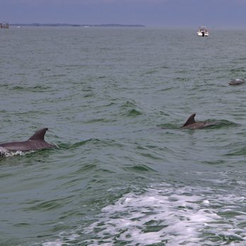 CAPTIVA CRUISES - Updated June 2024 - 110 Photos & 126 Reviews - 11401 ...