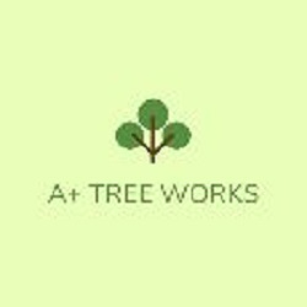 A+ TREEWORKS - Updated June 2025 - 941 S 29th St, Lincoln, Nebraska - Tree Services - Phone ...