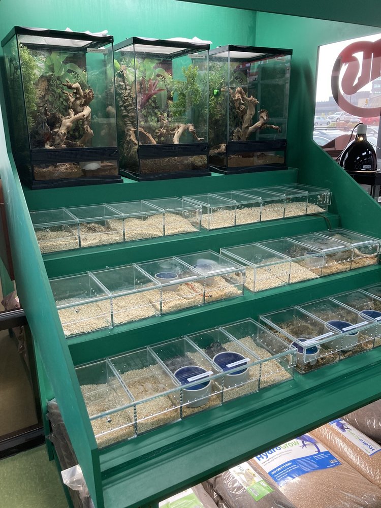 SCALES ‘N TAILS EXOTIC REPTILES PET SHOP - Reptile Shops - 2644 W 3500 ...