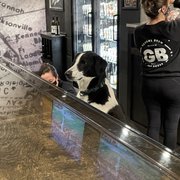 GLOBAL BREW TAP HOUSE - 62 Photos & 53 Reviews - 9578 Manchester Rd ...