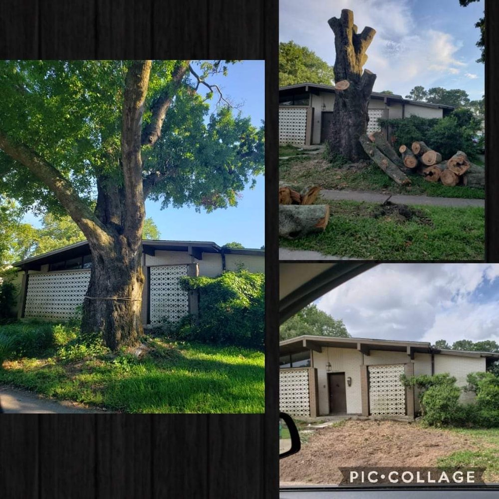 TREECO TREE CARE - Updated October 2025 - 10 Reviews - 96 W 27th St, Kenner, Louisiana - Tree ...