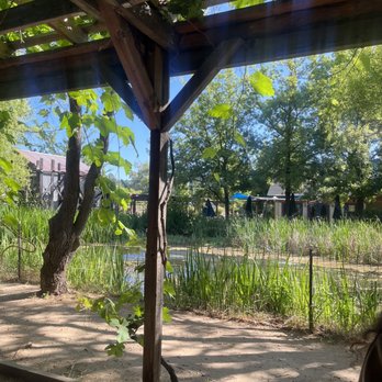 FLOWER FARM CAFE - Updated May 2024 - 285 Photos & 251 Reviews - 9280 ...