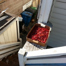 CRAZY PEPPER - Updated August 2025 - 394 Photos & 536 Reviews - 2257 ...