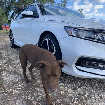 RICK CASE HONDA - Updated October 2025 - 119 Photos & 402 Reviews ...