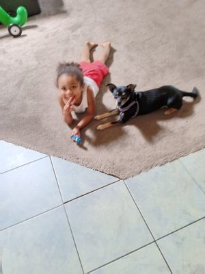 HALO ANIMAL RESCUE - Updated March 2025 - 94 Photos & 166 Reviews ...