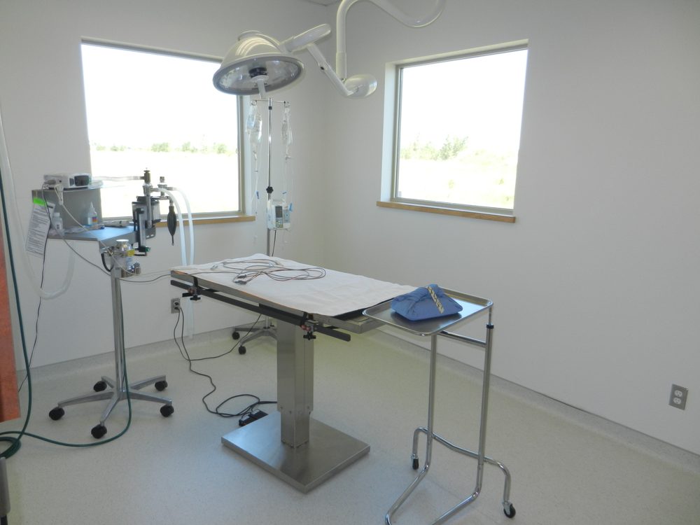 ADVANCED CARE PET HOSPITAL - Updated October 2025 - 21 Reviews - 911 ...