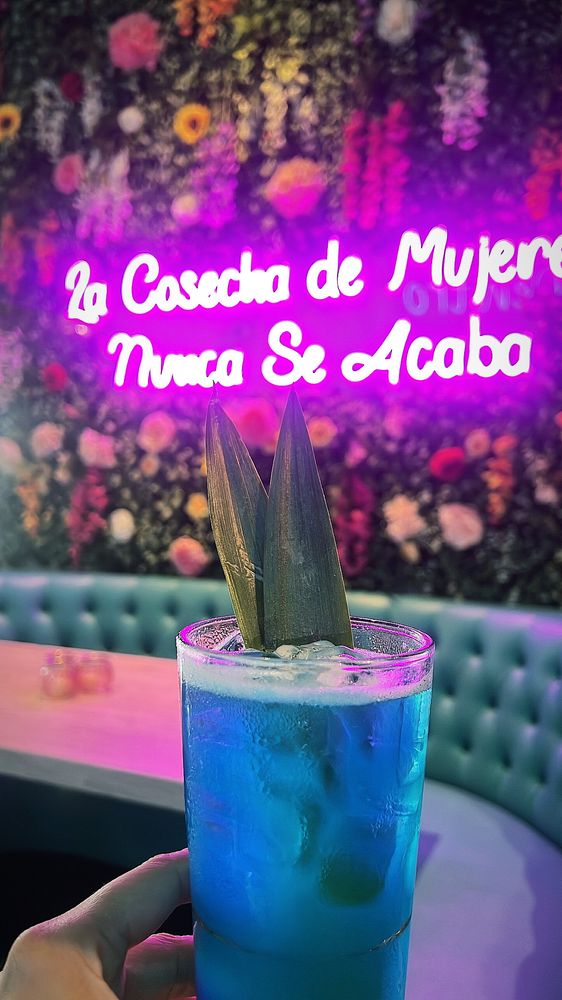 LA COSECHA MEXICAN BISTRO - 754 Photos & 585 Reviews - 4291 Maine Ave ...