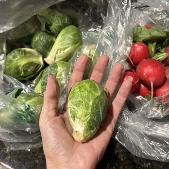 SUPERSTITION RANCH FARMERS MARKET - Updated March 2025 - 298 Photos ...