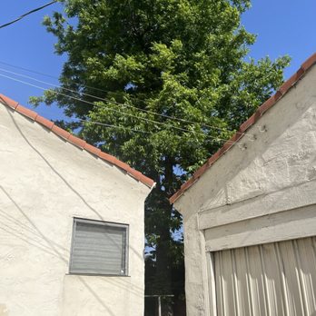 AFFORDABLE TREE CARE - Updated July 2024 - 1915 Photos & 1728 Reviews ...