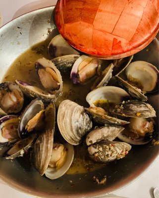 SCALES & SHELLS - Updated August 2024 - 243 Photos & 382 Reviews - 527 ...