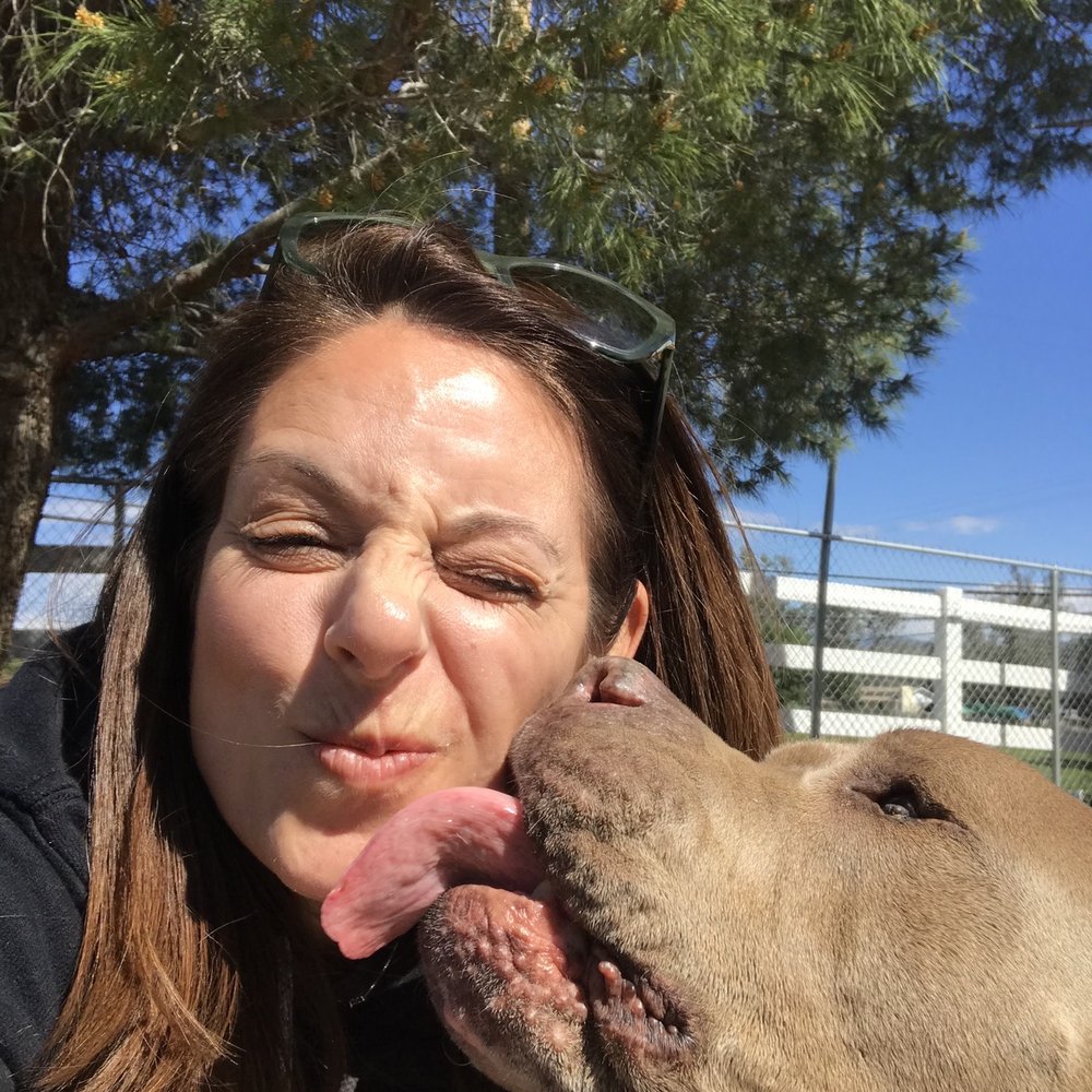 Sondra Elson's Instagram, Twitter & Facebook on IDCrawl