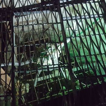 WICHITA’S TROLL - Updated December 2025 - 16 Photos & 13 Reviews - 777 ...