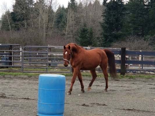 HIGH POINT EQUESTRIAN CENTER - Updated December 2025 - 13 Reviews ...