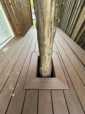 SLAKEY - Updated July 2025 - 35 Photos - 242 Shaw Rd, South San ...