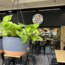 ALOHA MAMACITA - Updated November 2025 - 556 Reviews & 1673 Photos ...