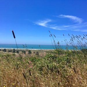 LIMANTOUR BEACH - 259 Photos & 81 Reviews - Point Reyes National ...