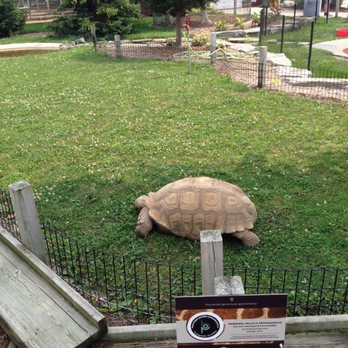 BOULDER RIDGE WILD ANIMAL PARK - Updated September 2024 - 142 Photos ...