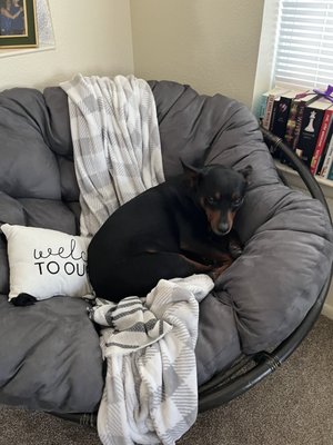 BERNALILLO COUNTY ANIMAL CARE & RESOURCE CENTER - 42 Photos - 3001 2nd ...