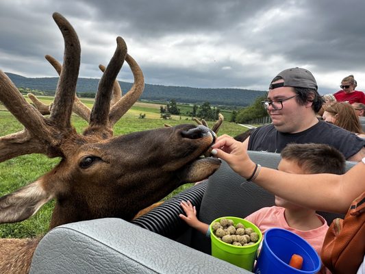 LAKE TOBIAS WILDLIFE PARK - Updated September 2025 - 406 Photos & 121 ...