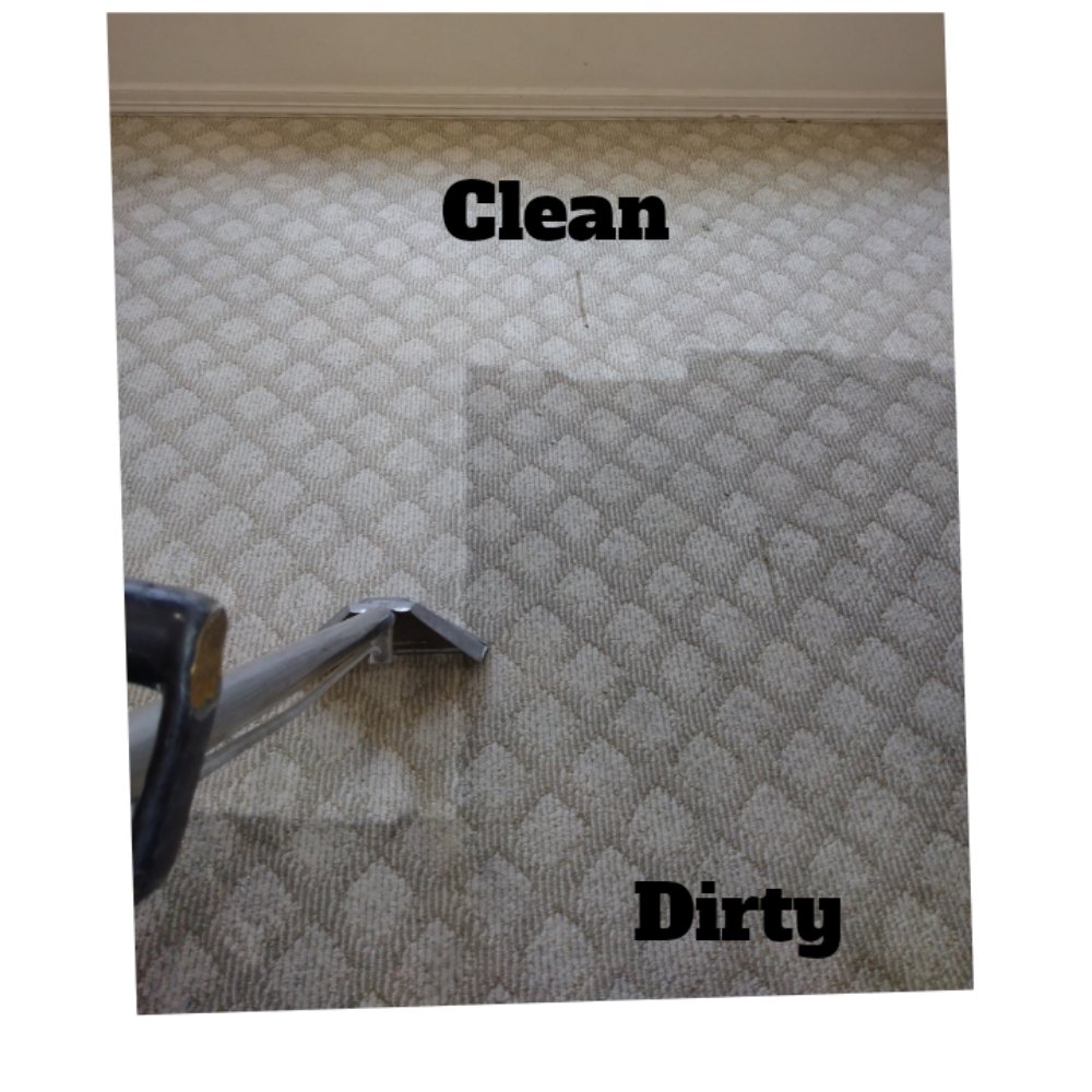 ECONOMY CARPET CLEANING - Request a Quote - 22 Photos - San Juan, Texas ...