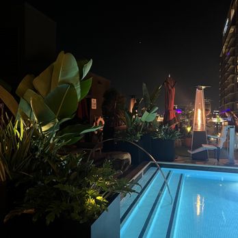 VIDERE - Updated June 2024 - 86 Photos & 21 Reviews - 6317 Wilshire ...