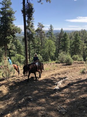 GRINDSTONE STABLES - 52 Photos & 46 Reviews - Horseback Riding - 523 ...