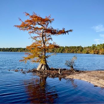 JONES LAKE STATE PARK - Updated May 2026 - 155 Photos & 17 Reviews ...