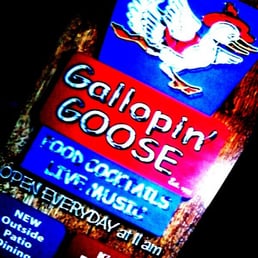 GALLOPIN’ GOOSE - Updated July 2025 - 13 Photos & 48 Reviews - 1980 S ...