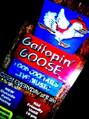 GALLOPIN’ GOOSE - Updated December 2025 - 13 Photos & 50 Reviews - 1980 ...