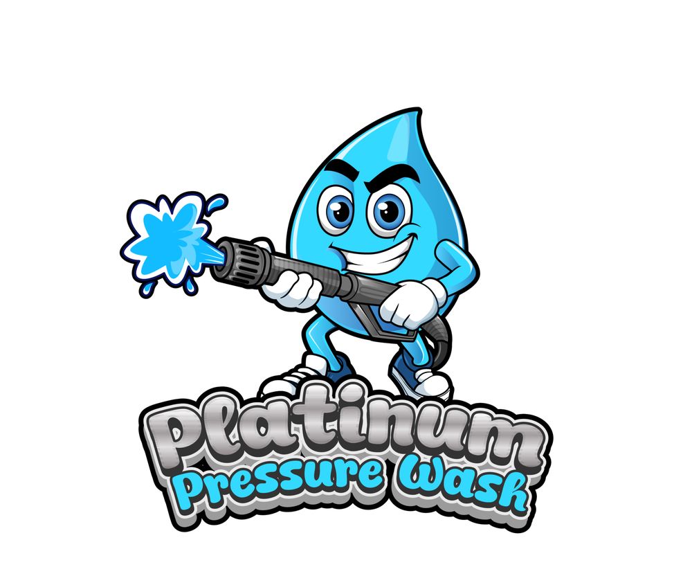 PLATINUM PRESSURE WASH - Updated March 2025 - Request a Quote - 10 ...