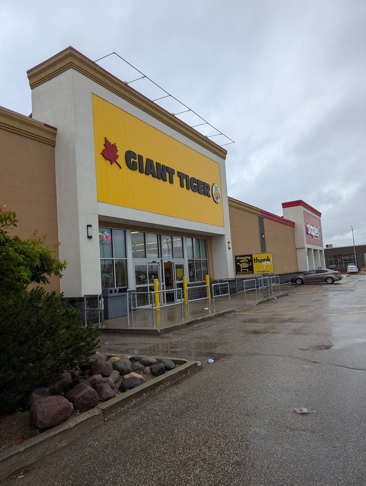 GIANT TIGER - Updated December 2025 - 81 Photos - 1450 A Ellice Avenue ...