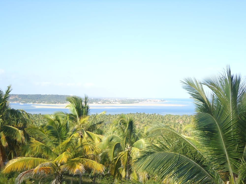 MIRANTE DO GUNGA - Updated December 2024 - Rodovia AL-101 Sul, Roteiro ...