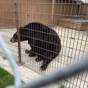 BIG RUN WOLF RANCH - 45 Photos & 32 Reviews - 14857 Farrell Rd ...