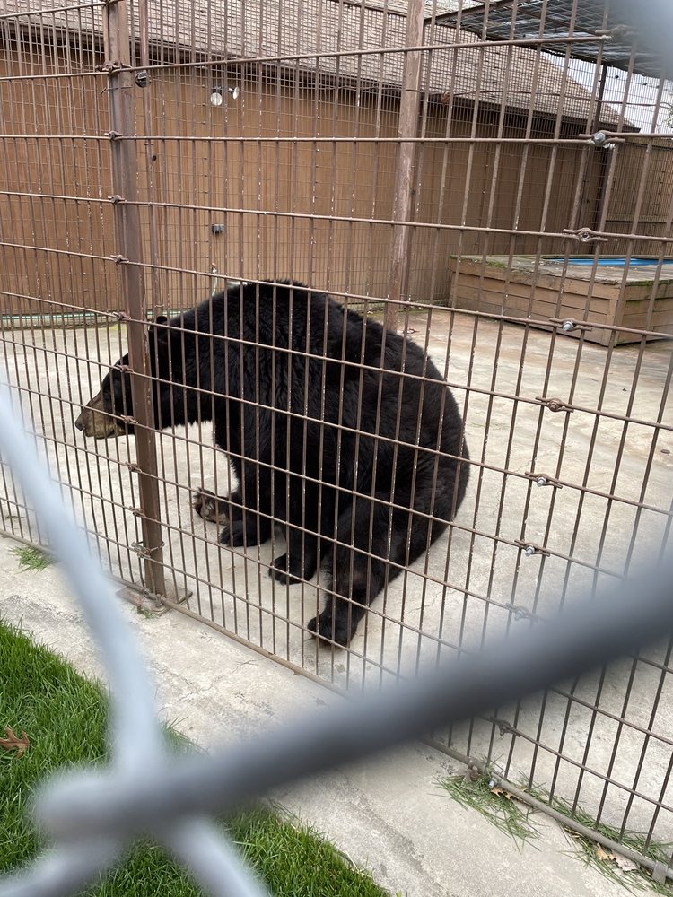 BIG RUN WOLF RANCH - Updated January 2025 - 18 Photos & 34 Reviews ...