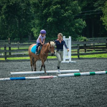 SEATON HACKNEY STABLES - Updated October 2025 - 126 Photos & 74 Reviews ...