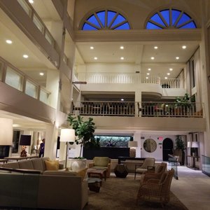 TREND TEA - 42 Photos & 32 Reviews - 1950 Glades Rd, Boca Raton, FL - Yelp