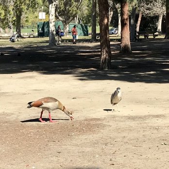 EL DORADO EAST REGIONAL PARK - Updated December 2024 - 538 Photos & 201 ...