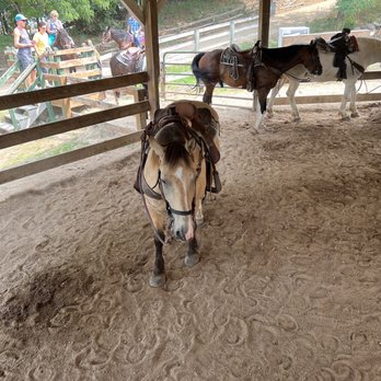 RED RIDGE RANCH RIDING STABLES - Updated October 2025 - 92 Photos & 59 ...