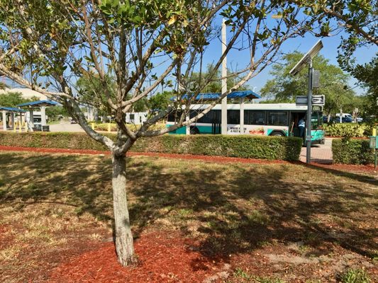 BOCA RATON TRI-RAIL STATION - Updated September 2025 - 53 Photos - 601 ...